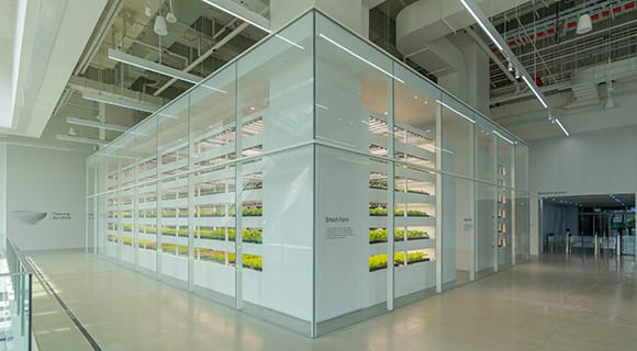 From Root to Route: 싱가포르에 심은 혁신의 씨앗. 현대차그룹 싱가포르 글로벌 혁신센터(HMGICS) 공개