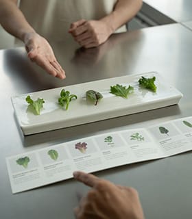 From Root to Route: 싱가포르에 심은 혁신의 씨앗. 현대차그룹 싱가포르 글로벌 혁신센터(HMGICS) 공개