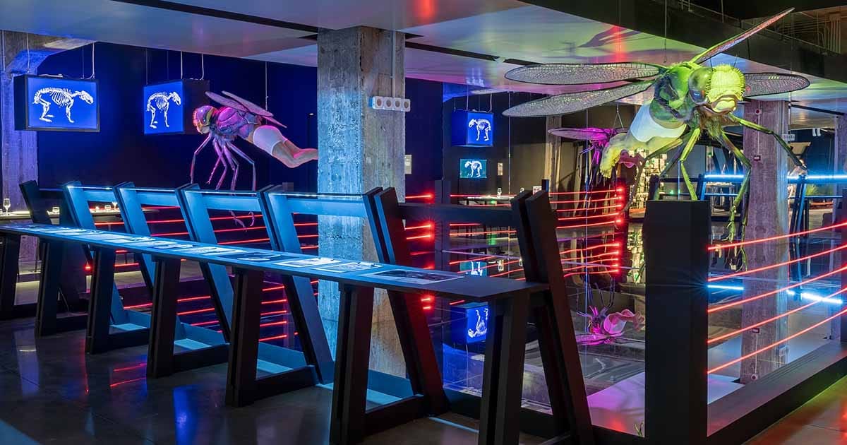 The Hyundai Blue Prize Art + Tech 2023: Decentralized Reworlding