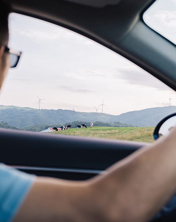 Stefanie Michova x Hyundai SONATA Hybrid: #Microtravel from Seoul