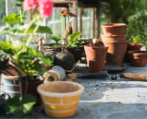 How to create your own urban garden